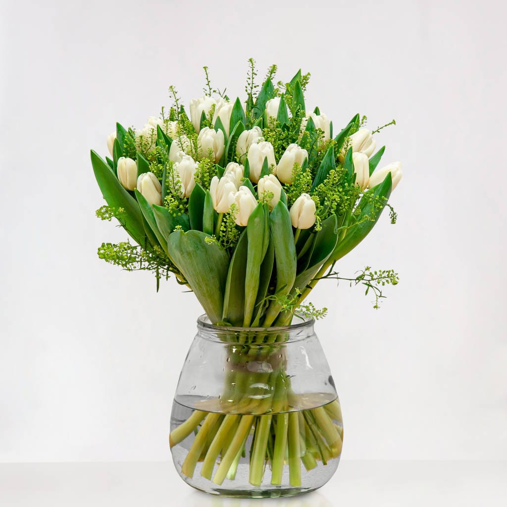 Witte Tulpen Bloemen Bezorgen Amsterdam
